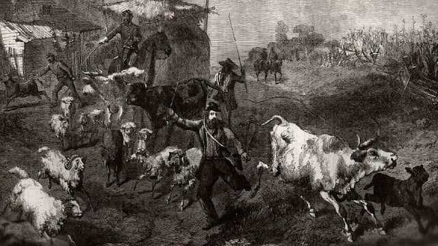 Watch The Ultimate Civil War Series S01:E03 - Days of Infamy - Free TV ...