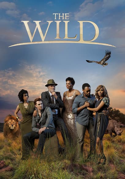 Watch The Wild - Free TV Shows | Tubi
