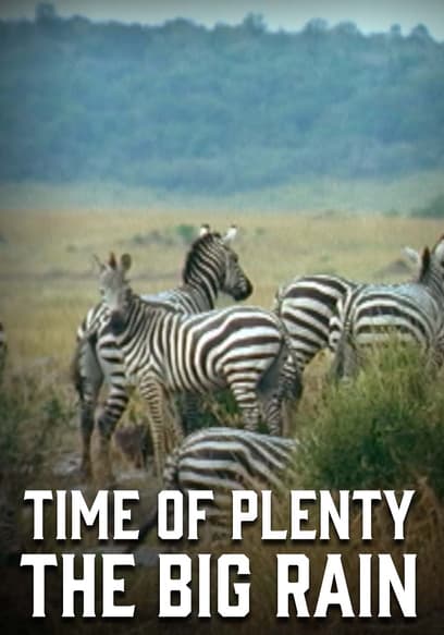 Watch Time of Plenty: The Big Rain (2000) - Free Movies | Tubi