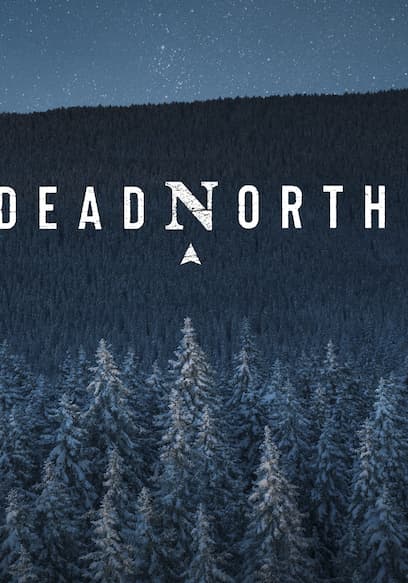 Watch Dead North - Free TV Shows | Tubi