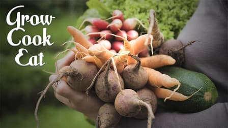 Watch Grow Cook Eat - Free TV Shows | Tubi