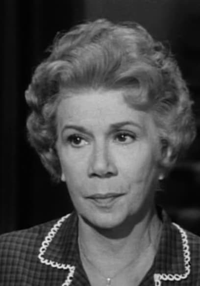 Watch Petticoat Junction S01:E13 - A Night at Hooterville Hilton - Free ...