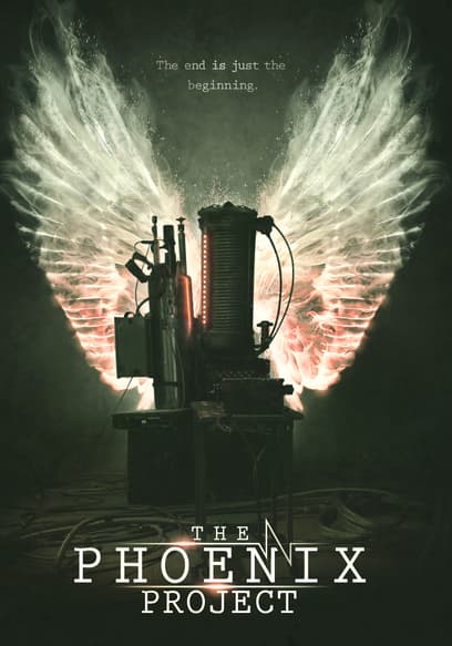 Watch The Phoenix Project (2015) - Free Movies | Tubi