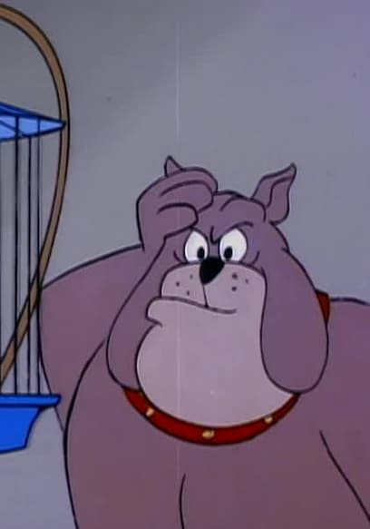Watch The Tom And Jerry Show S01e08 Kitten Sitters Lost Duckling