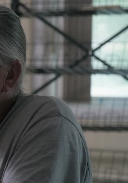 Watch First Contact S02:E01 - You Don’t Know Me Until You’ve Met Me ...