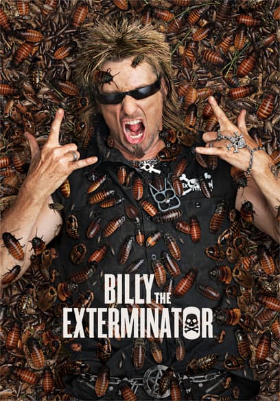 Watch Billy the Exterminator S04:E05 - Aerial Attack - Free TV Shows | Tubi