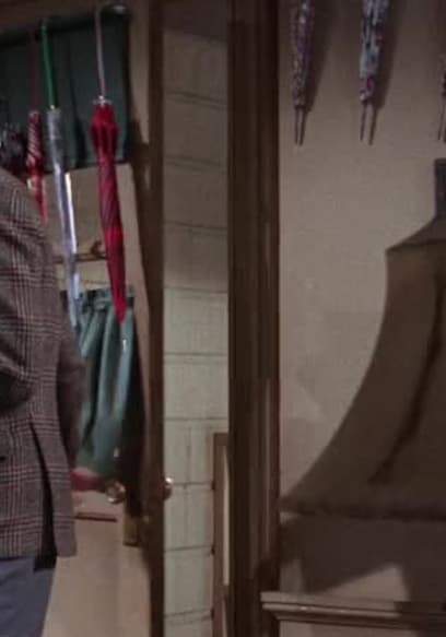 Watch Batman S01:E03 - Fine Feathered Finks - Free TV Shows | Tubi