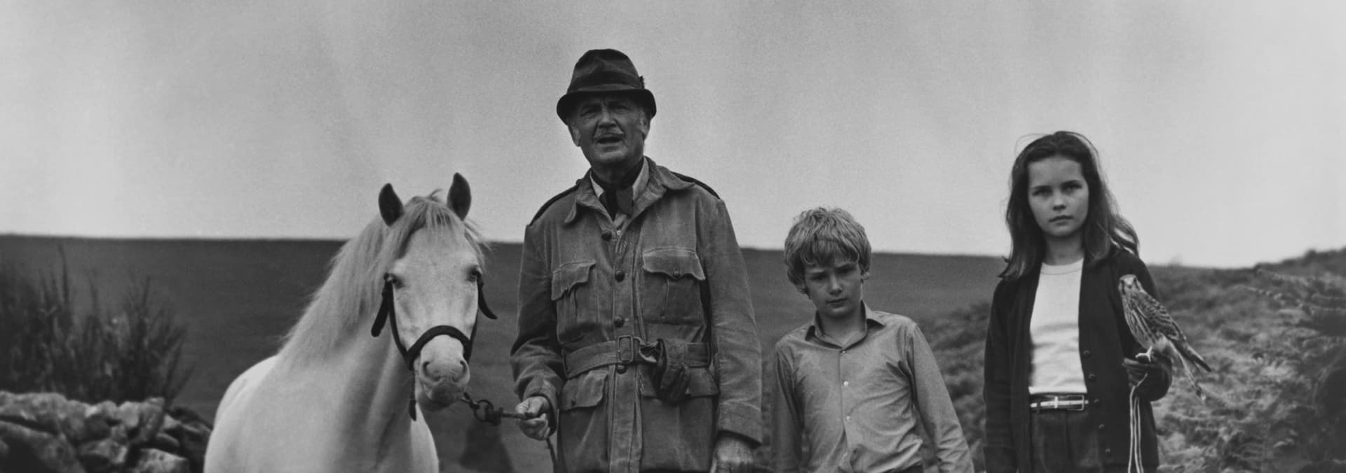 Watch Run Wild, Run Free (1969) - Free Movies | Tubi