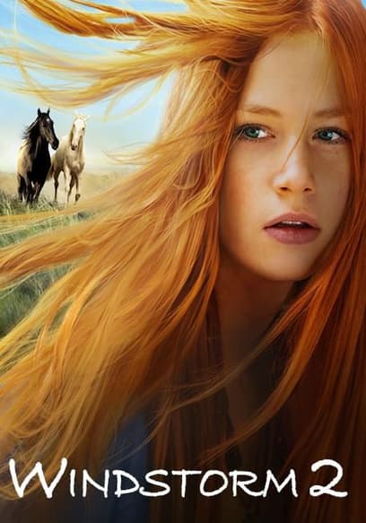 Watch Windstorm 2 (2020) - Free Movies | Tubi