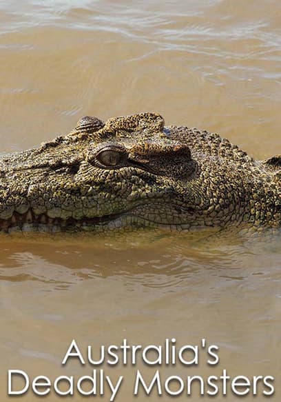 Watch Australia’s Deadly Monsters - Free TV Shows | Tubi