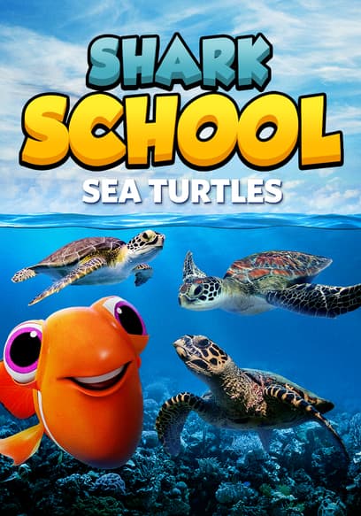 Watch Shark School: Sea Turtles (2022) - Free Movies | Tubi