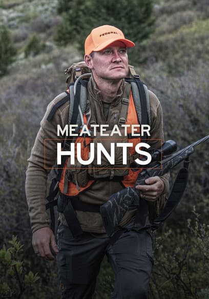 Watch MeatEater Hunts S01:E02 - Colorado Elk With Me - Free TV Shows | Tubi