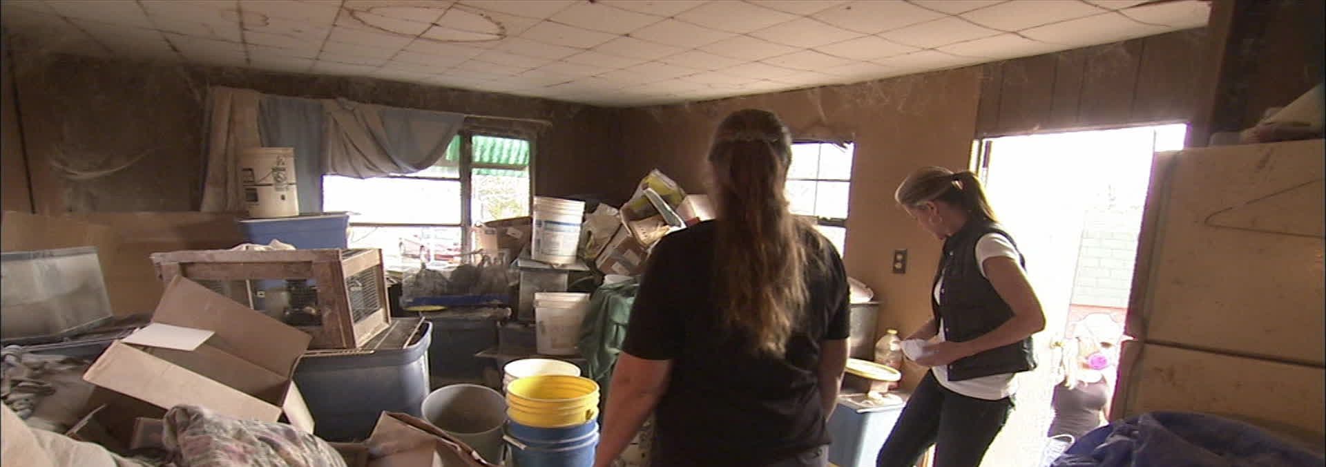 Watch Hoarders S03:E21 - Hanna/Kathy and Gary - Free TV Shows | Tubi