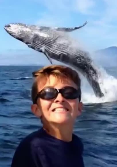 Watch From Hell: Caught on Camera S01:E03 - Cruises - Free TV Shows | Tubi