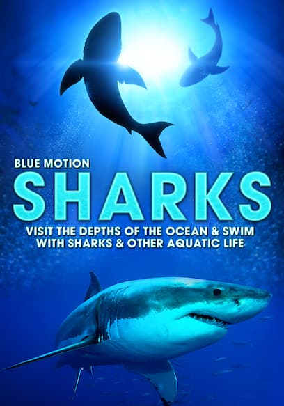 Watch Sharks: Visit the Depths of the Ocean & Swim Wit - Free Movies | Tubi