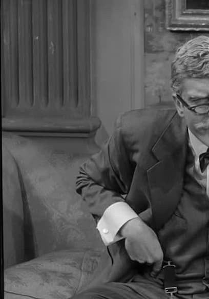 Watch The Dick Van Dyke Show S05:E07 - The Great Pet - Free TV Shows | Tubi
