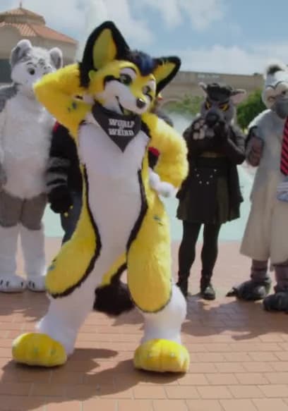 Watch World of Weird S01:E06 - Episode 6 - Free TV Shows | Tubi