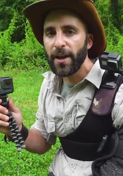 Watch Brave Wilderness S02:E05 - Wild Moose Encounter - Free TV Shows ...
