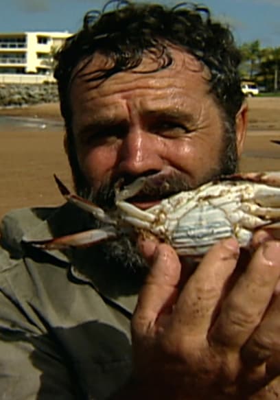 Watch Killer Instinct with Rob Bredl S01:E11 - Ocean Venom - Free TV ...