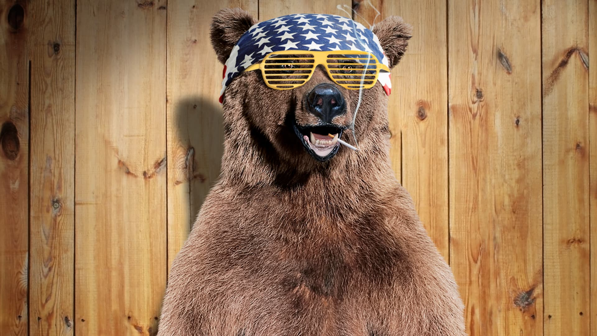 Watch Awful Nice (2013) - Free Movies | Tubi