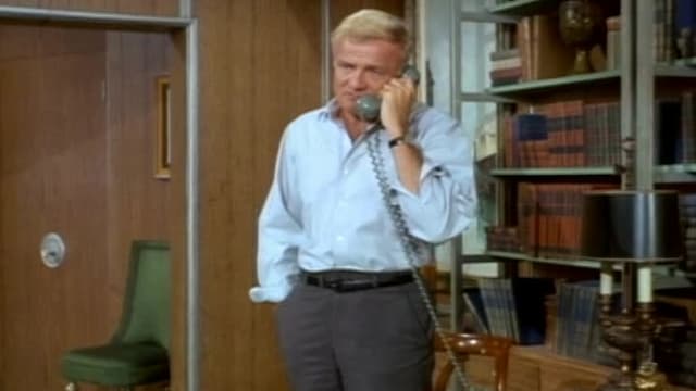 Watch Family Affair S02:E27 - Mr. French's Holiday - Free TV Shows | Tubi