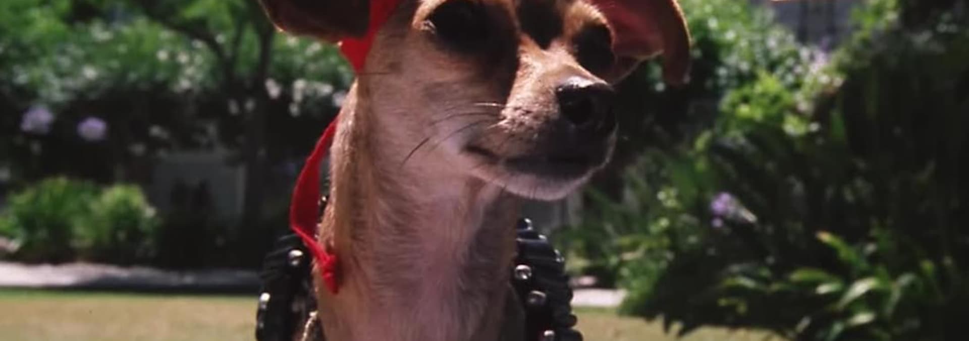 Watch Ping! (2001) - Free Movies | Tubi