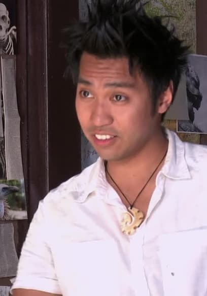 Watch Beast Legends S01:E04 - Winged Lion - Free TV Shows | Tubi