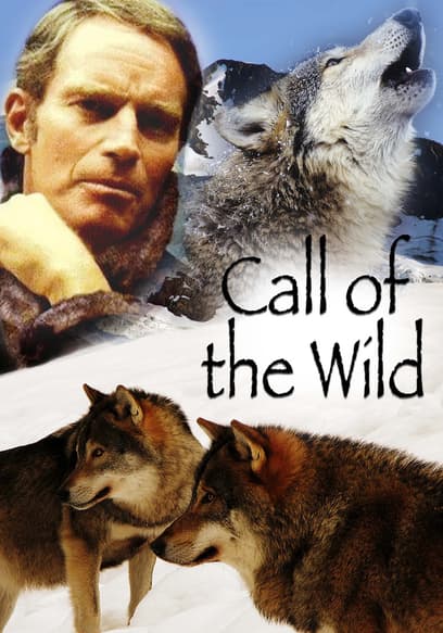 Watch Call of the Wild (1976) - Free Movies | Tubi