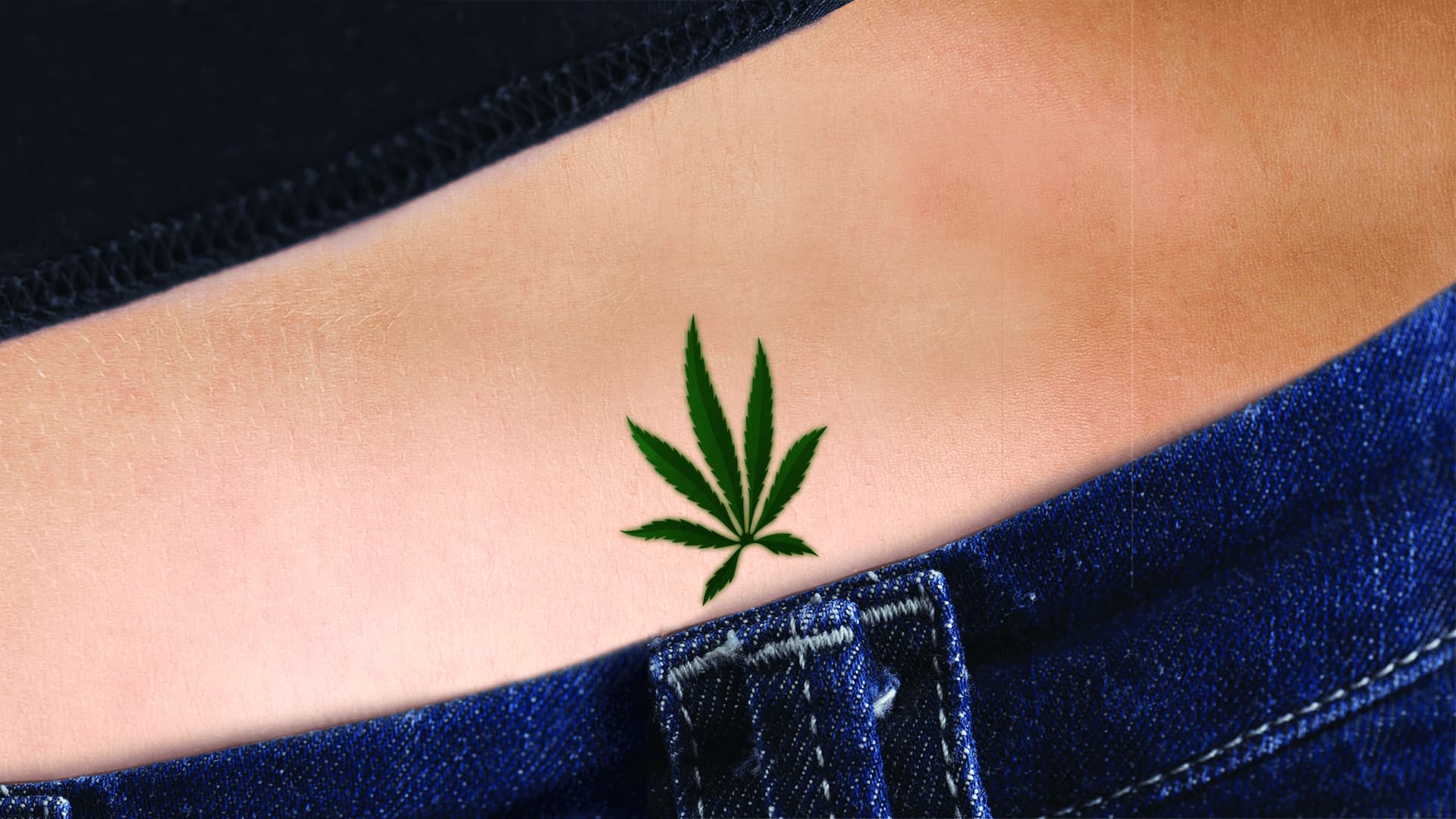 Watch Growing Op (2008) - Free Movies | Tubi