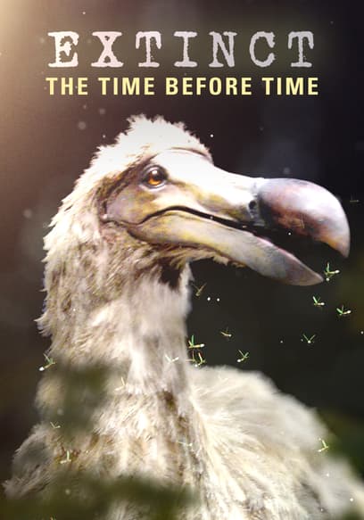 Watch Extinct - Free TV Shows | Tubi