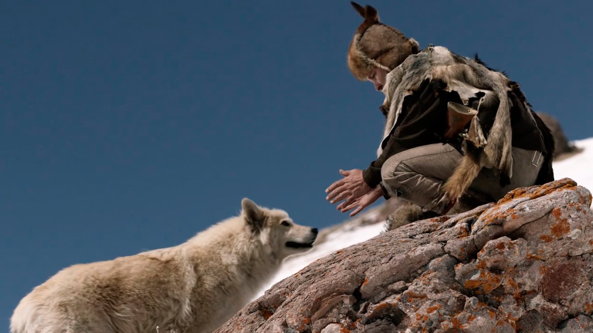 Watch The Great Alaskan Race (2019) - Free Movies | Tubi