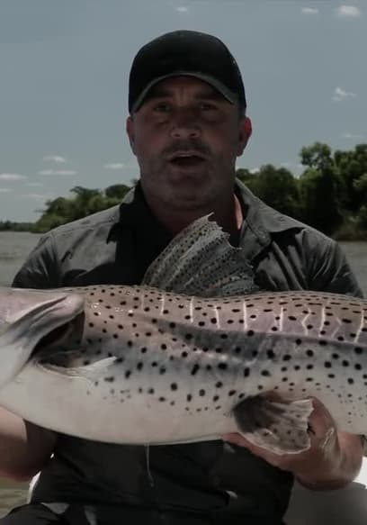 Watch Chasing Monsters S03:E03 - Pulled Under - Free TV Shows | Tubi