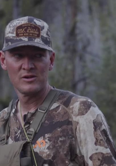 Watch On the Hunt S01:E04 - Bow Hunting for Elk With Jason Phelps and ...