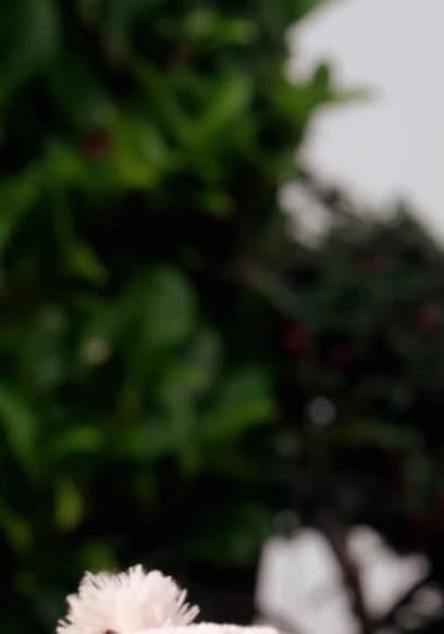 Watch Crimes That Shook Australia S02:E04 - Darcey Freeman - Free TV ...