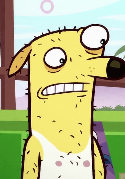 Watch Almost Naked Animals S03:E04 - Who’s Howie? - Free TV Shows | Tubi