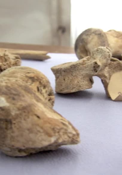 Watch History Cold Case UK S02:E02 - The Skeletons of Windy Pits - Free ...