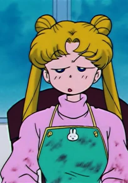 Watch Sailor Moon S01:E45 - Death of the Sailor Guardians: The Tragic ...