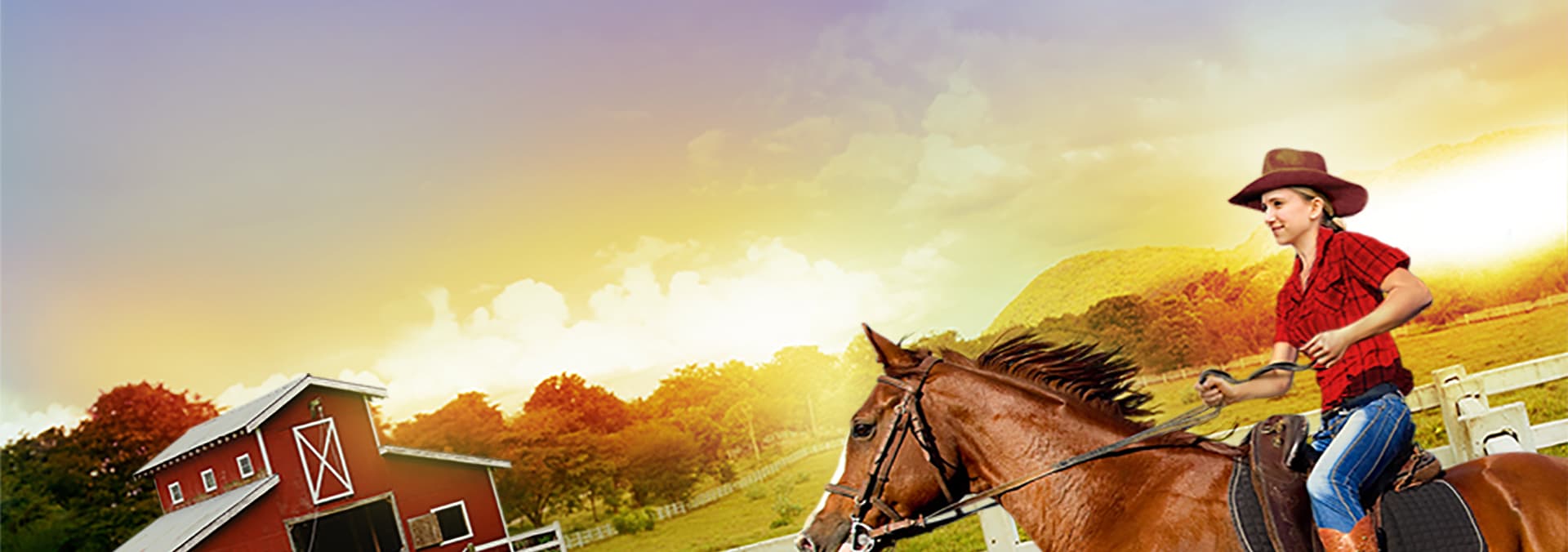 Watch Rodeo Girl (2016) - Free Movies | Tubi