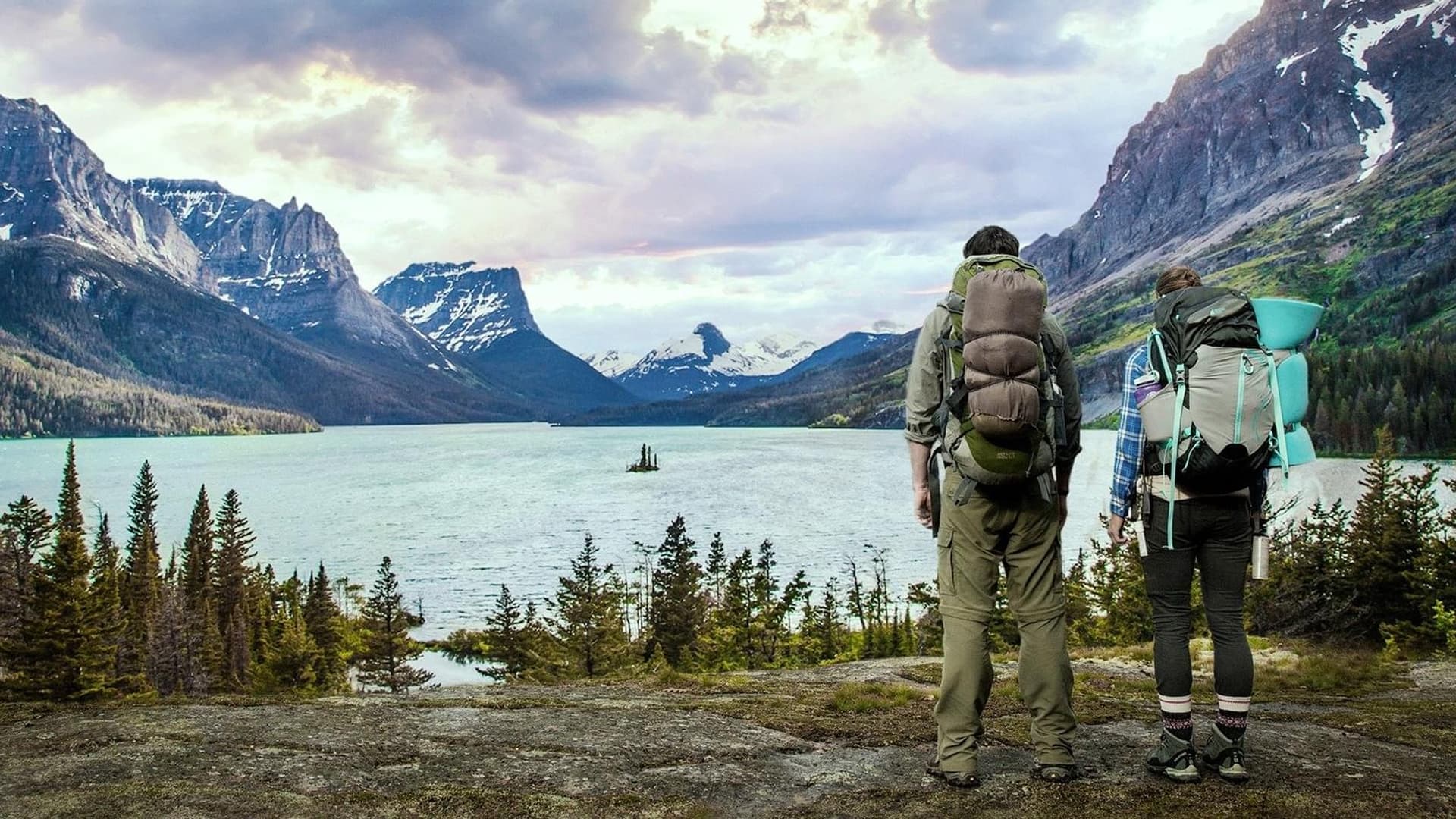 Watch Backcountry (2014) - Free Movies | Tubi