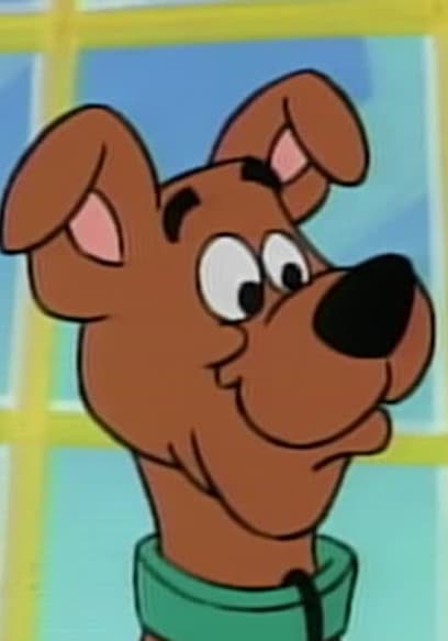 Watch A Pup Named Scooby-Doo S01:E01 - A Bicycle Bui - Free TV Shows | Tubi
