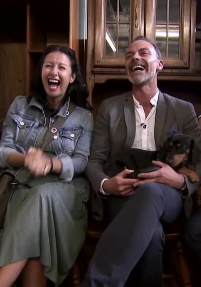 Watch Celebrity Antiques Road Trip S09:E03 - Dan Bro - Free TV Shows | Tubi