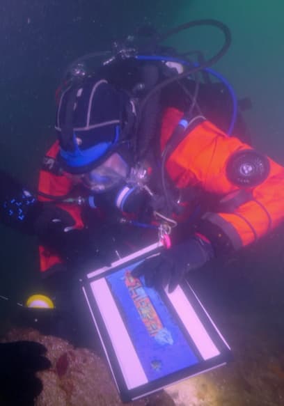 Watch Ross Kemp: Shipwreck Treasure Hunter S01:E04 - Trade Wars - Free ...