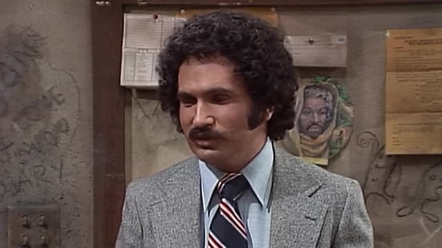 Watch Welcome Back, Kotter S02:E07 - Sweathog, Nebraska Style - Free TV ...