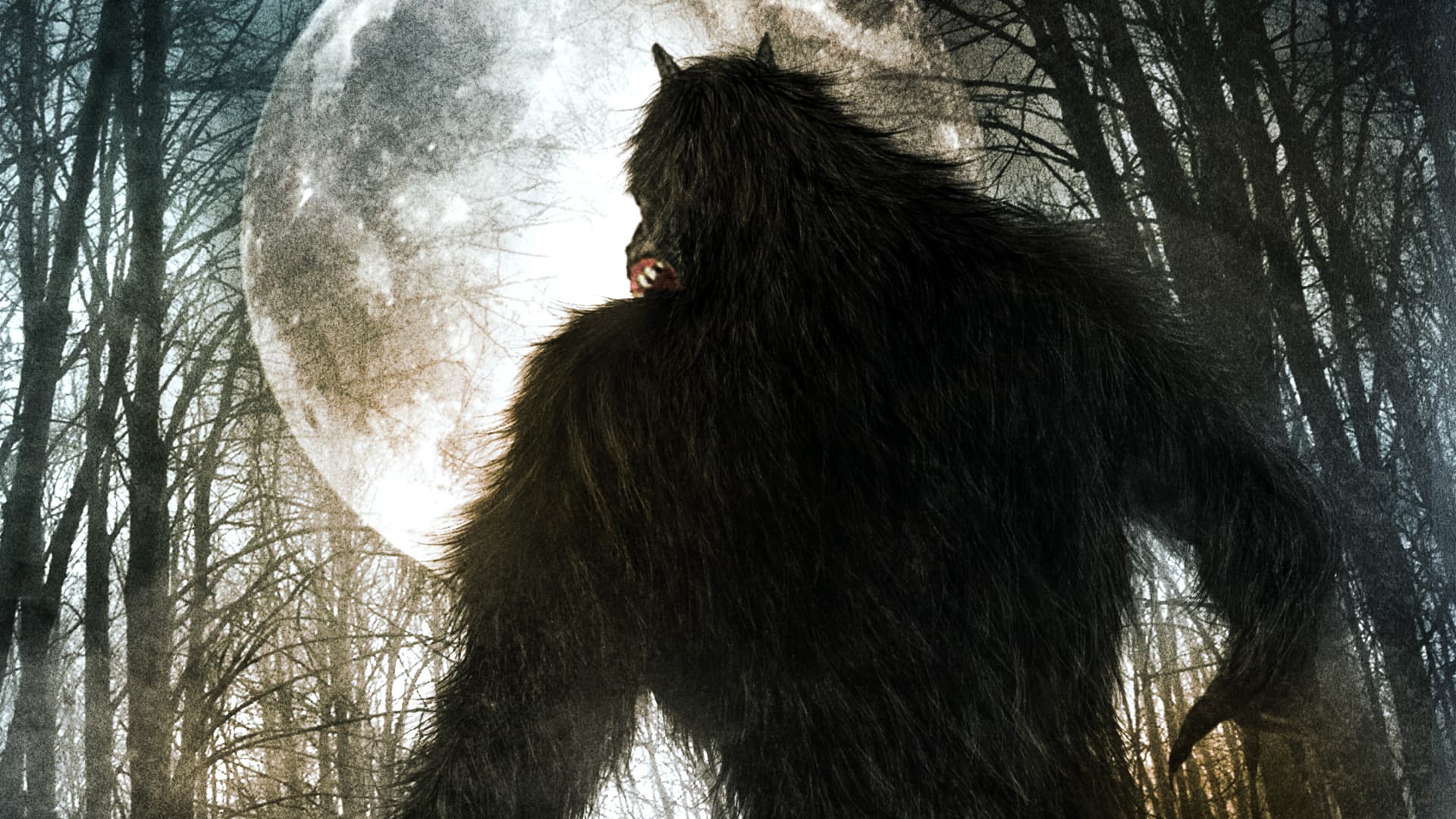 Watch Werewolf Rising (2014) - Free Movies | Tubi