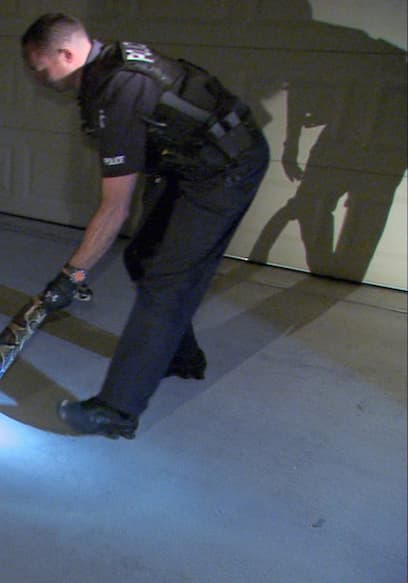 Watch Cops Reloaded S01:E06 - Python Predicament - Free TV Shows | Tubi