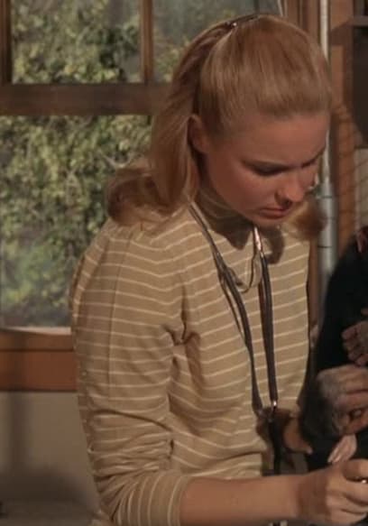 Watch Daktari S02:E29 - Countdown for Judy - Free TV Shows | Tubi