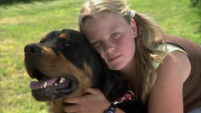 Watch Dogs 101 S01:E03 - English Bulldog and More - Free TV Shows | Tubi