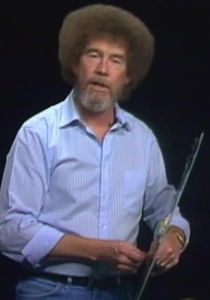 Watch The Joy of Painting With Bob Ross S20:E08 - The Old Oak Tree ...