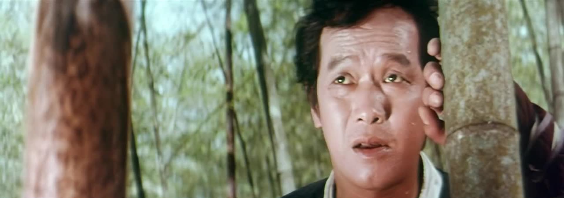 Watch The Last Days of Hsin Yang (1968) - Free Movies | Tubi