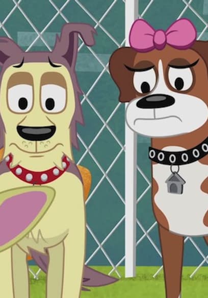 Watch Pound Puppies S03:E08 - I'm Ready for my Close - Free TV Shows | Tubi